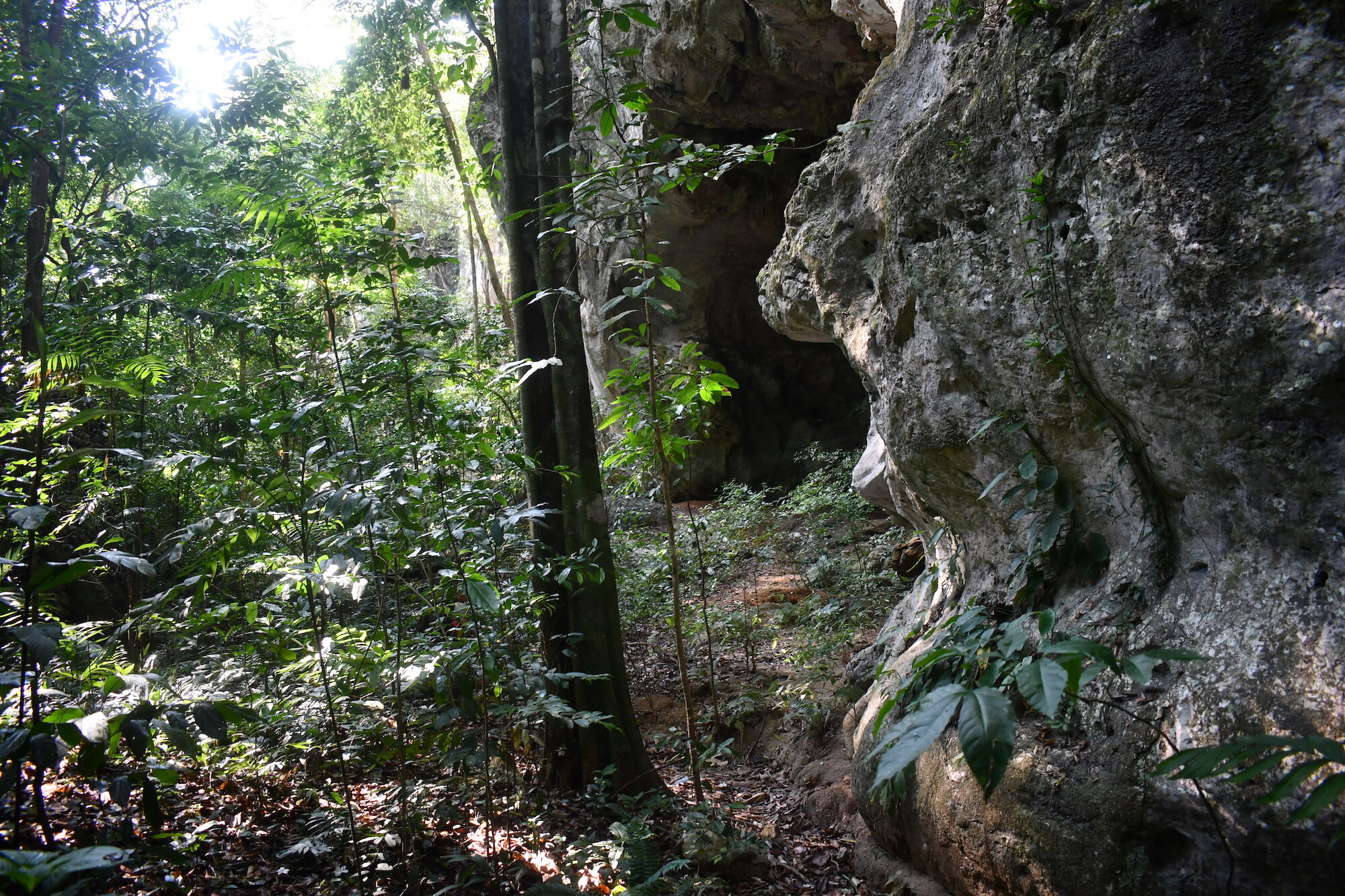 Bladen Nature Reserve - Ya'axché Conservation Trust