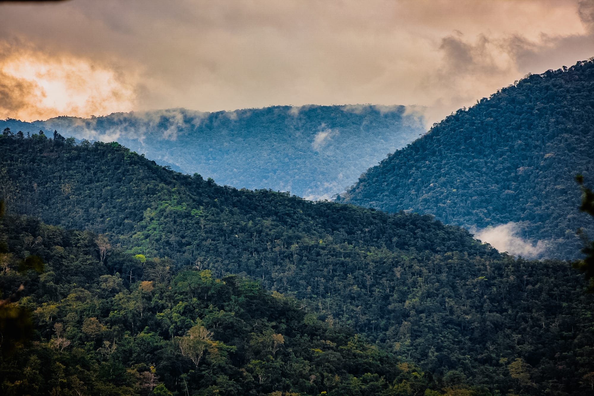 Ya'axché Conservation Trust